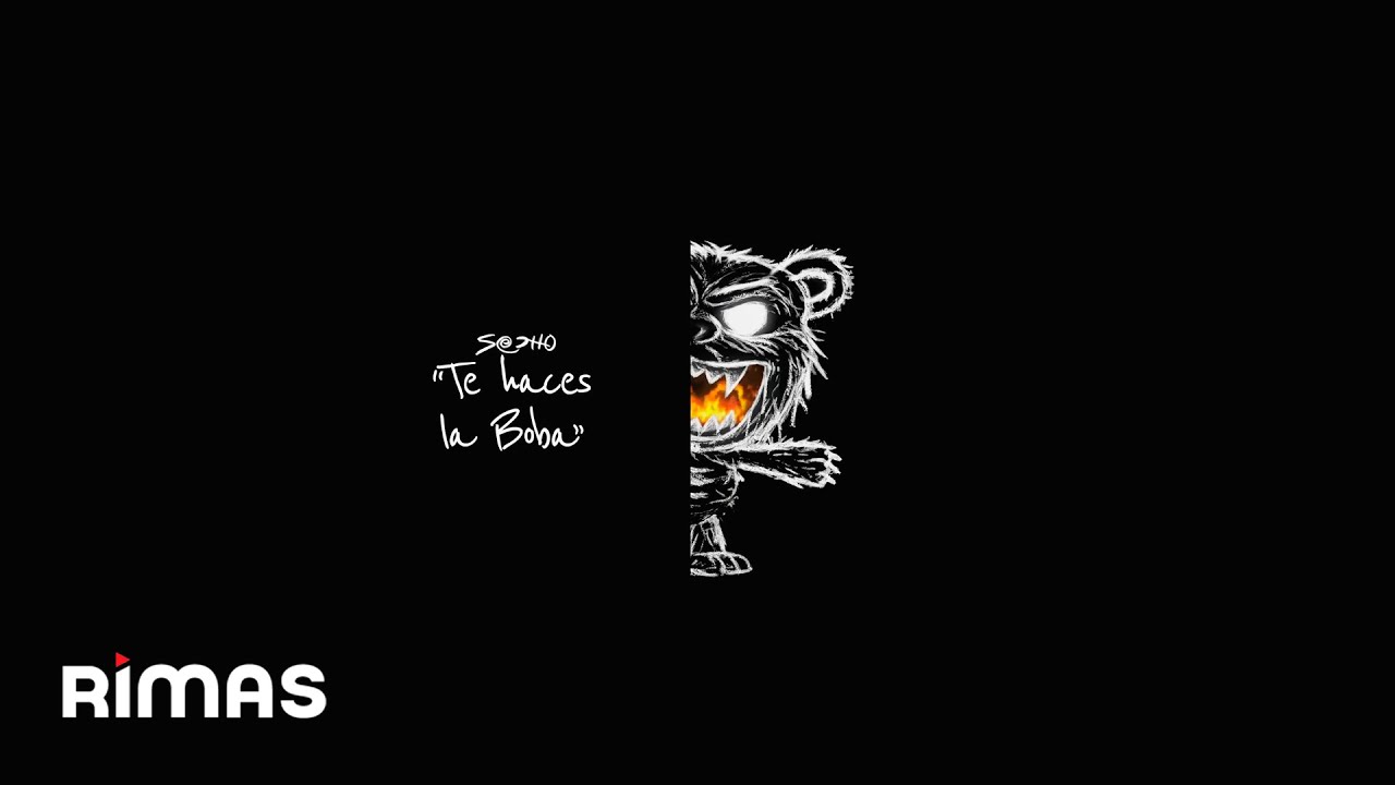 5AM - TE HACES LA BOBA Lyrics - Sech - Visualizer Version – Lyricsilly